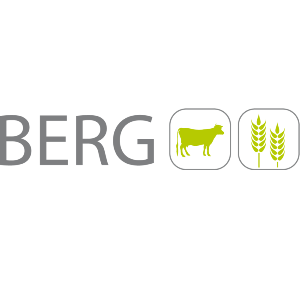 Berg