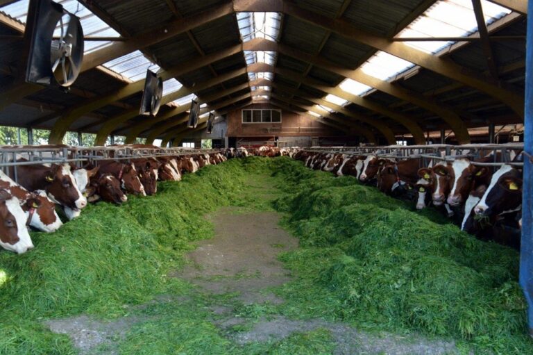 AgroVision – The Next Generation in Agricultural Software